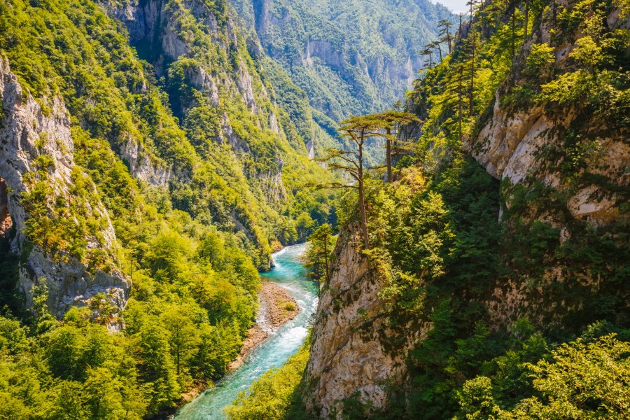 Les plus beaux endroits des Gorges du Tarn à decouvrir - Domaine La ...